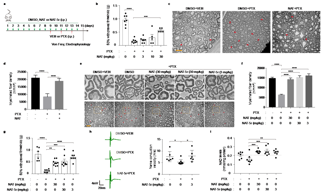 清华王戈林/唐叶峰团队研发保护神经作用的NAD生物合成酶小分子激动剂__财经头条