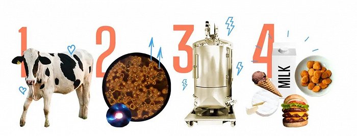 A轮获1.34亿投资，Biomilq“人造母乳”或将3年后面市|融资|通用磨坊|细胞|食品|创始人_手机新浪网