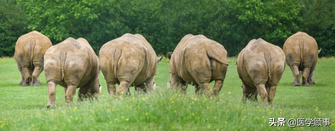 人类长出尾巴是种怎样的体验？__财经头条