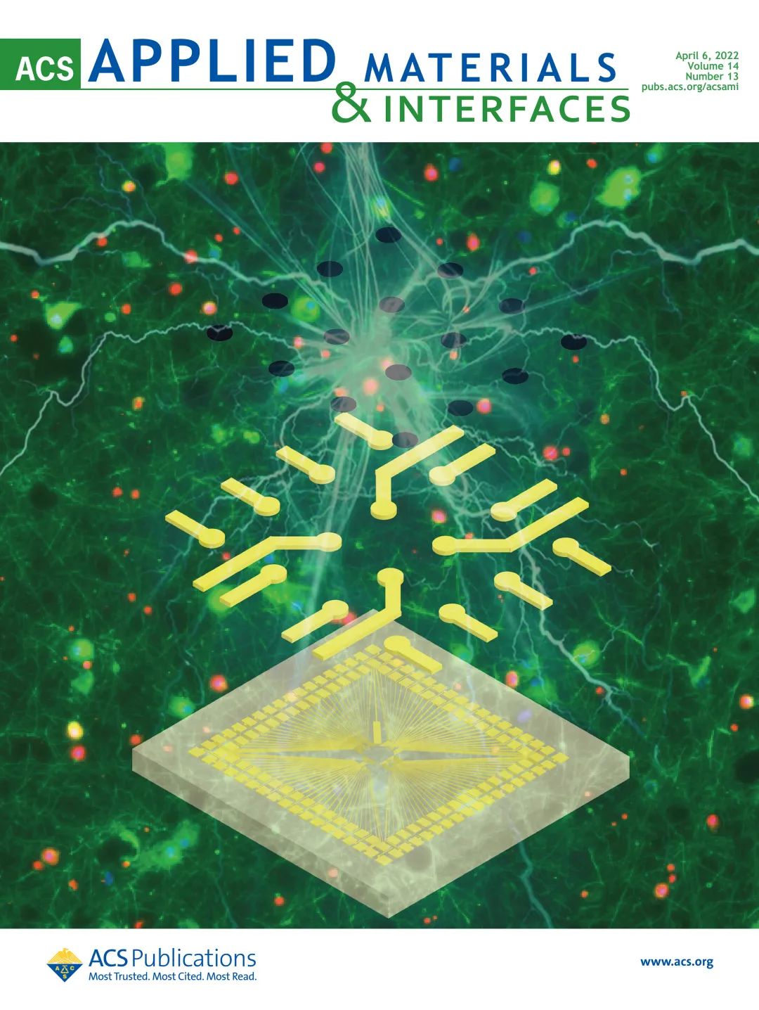 ACS AMI封面：脑机接口离体芯片神经网络学习记忆功能研究|训练|芯片_新浪新闻
