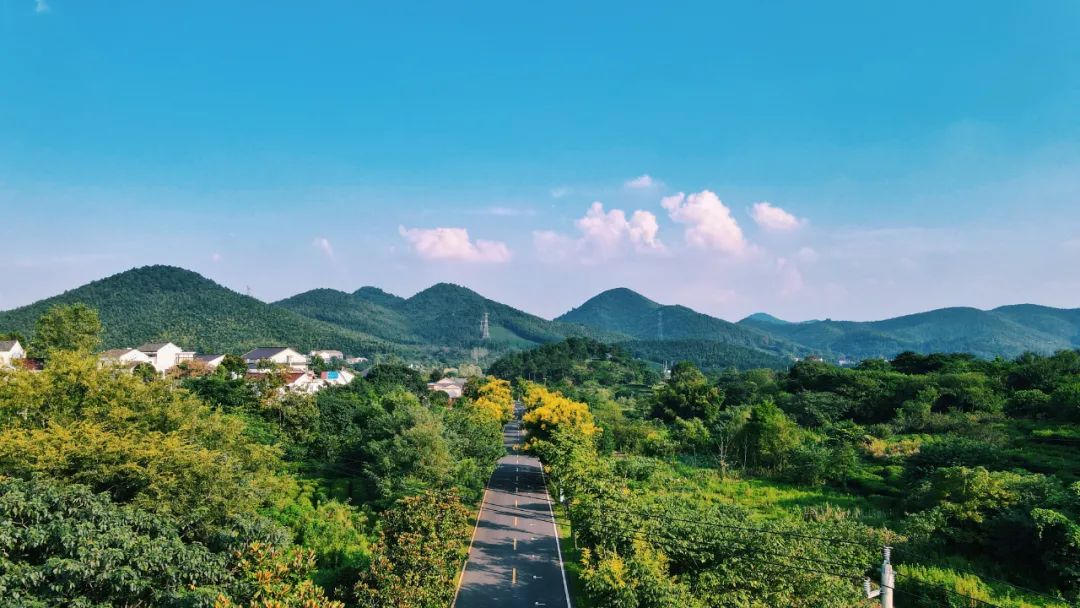 极美南京·绿道 江宁，绿绿绿绿绿南京市新浪财经新浪网