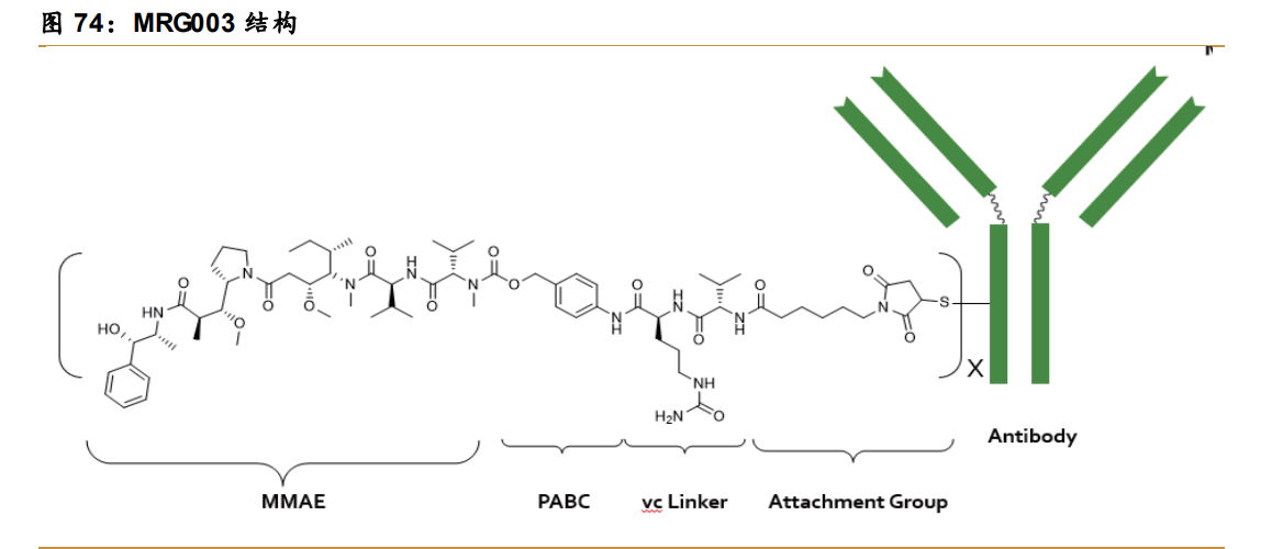 医药行业深度报告：创新驱动，ADC药物发展加速__财经头条