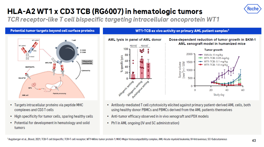 干货满满！罗氏公布肿瘤学研发管线最新进展（附PPT）|肿瘤_新浪新闻