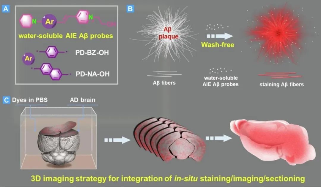 盘点：fMOST结合荧光探针实现全脑Aβ斑块的自动三维成像|三维成像|斑块|荧光_新浪新闻