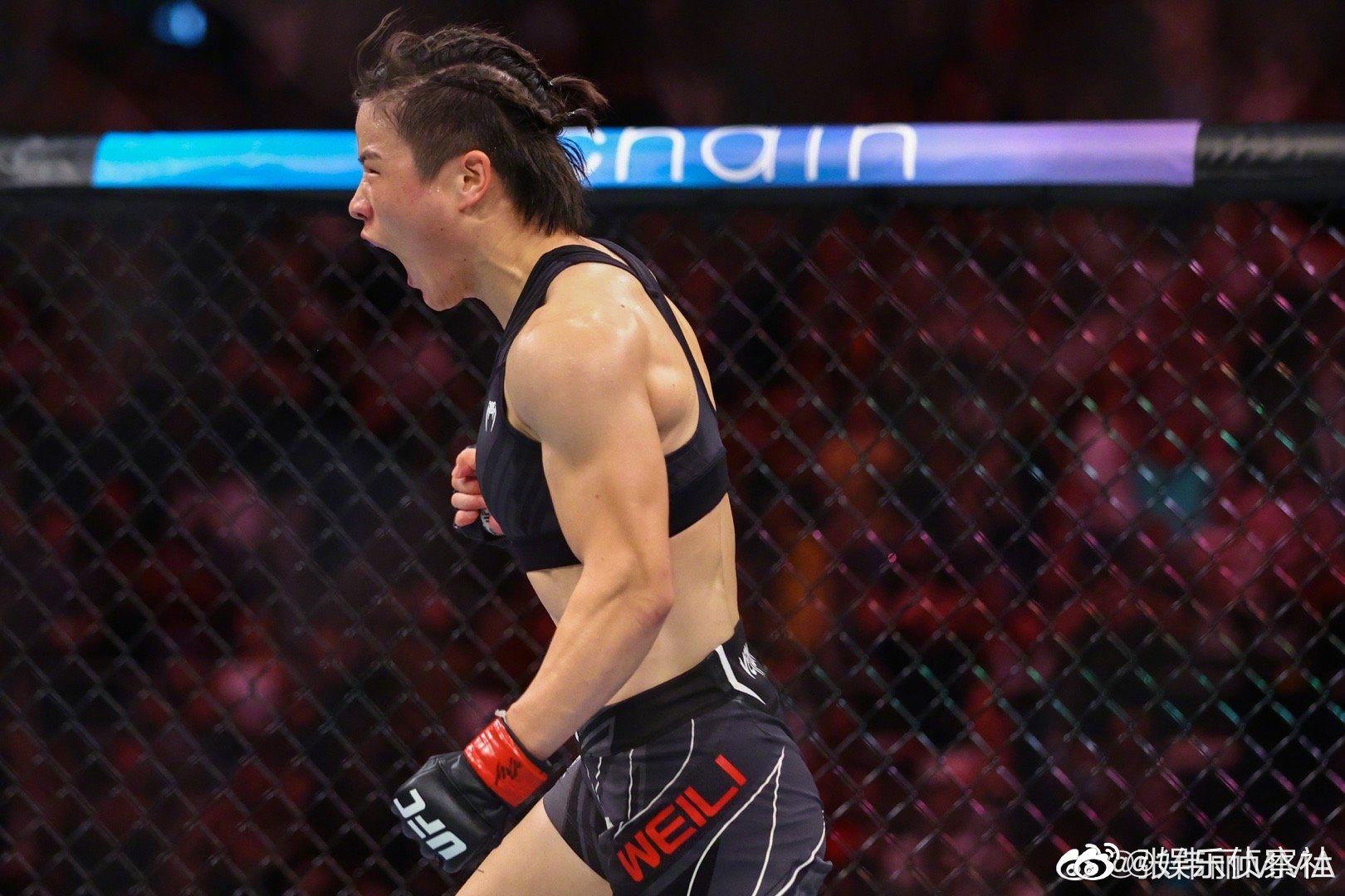 看到张伟丽说的这些，内心满满的触动……|张伟丽_新浪新闻