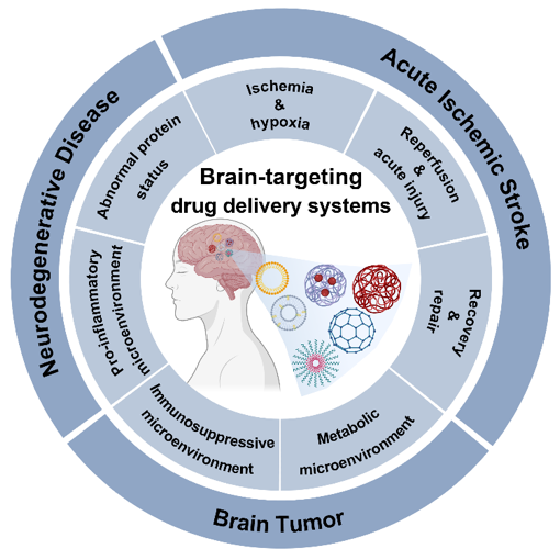WIREs： 复旦大学蒋晨团队综述脑靶向药物递送系统__财经头条