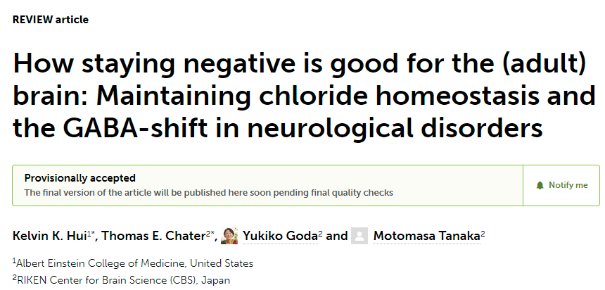 Frontiers最新综述：“GABA转换” 在神经系统疾病中的研究进展|突触_新浪新闻