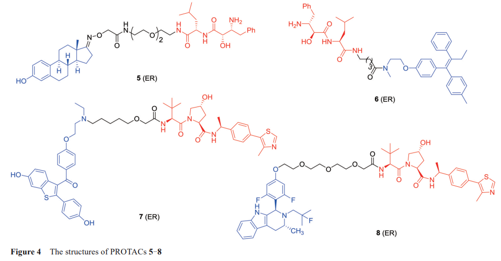未来晚期乳腺癌治疗的革新：蛋白水解靶向嵌合体（PROTAC）