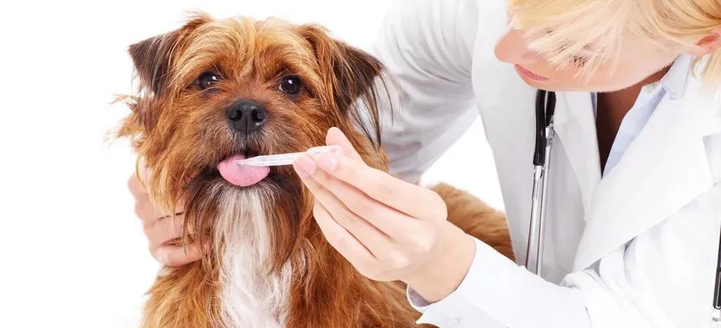 爱宠生物持续亏损中股权生变，奥联电子、康华生物接连退出|广西|合伙企业|合伙