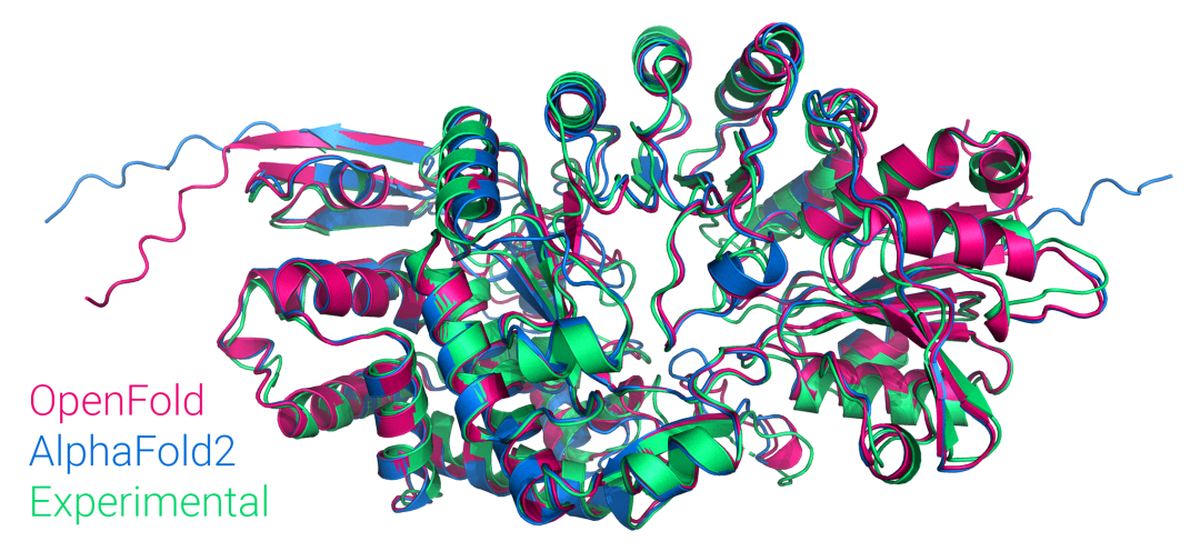 哥大团队发布首个AlphaFold 2完整复刻版模型，在推理速度、内存占用等方面更具优势__财经头条