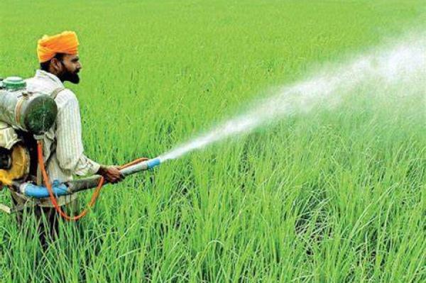 斯里兰卡“有机农业”梦断：拒绝化肥农药，饥荒接踵而至_手机新浪网