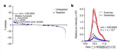 Nature：剧烈运动后产生的一种“抗饥饿”分子或是改善代谢健康的关键__财经头条