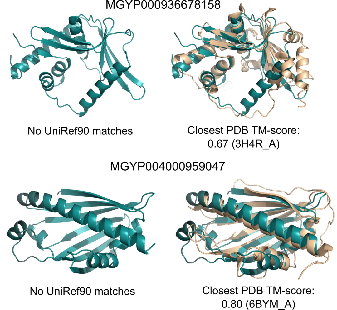 快了一个0！Meta祭出150亿参数蛋白质大模型，碾压AlphaFold2__财经头条