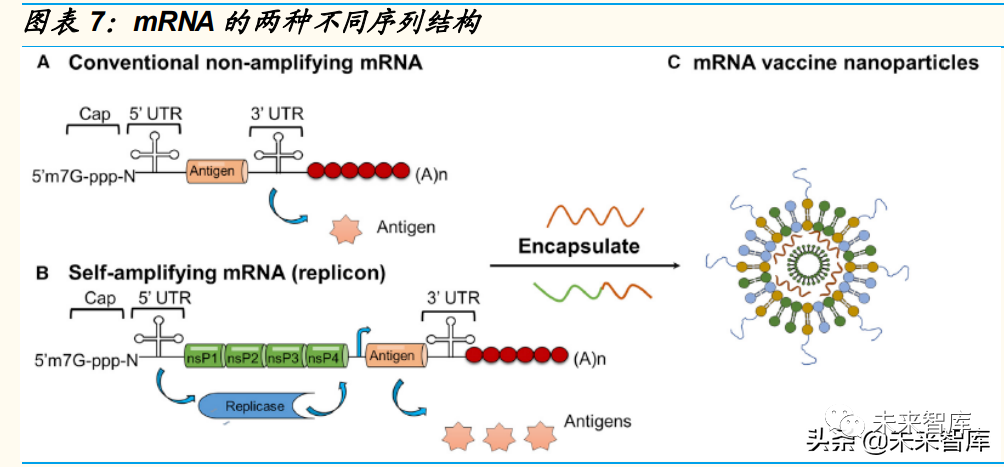 2022年医药行业专题研究报告（附下载）__财经头条