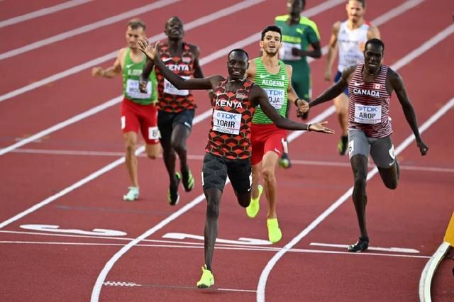 从尤金世锦赛，看中长跑发展新趋势|世锦赛|奥运会|东京奥运会_新浪新闻