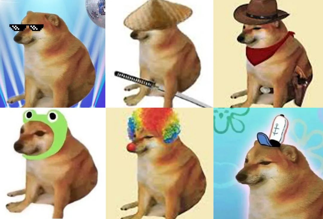 又怂又废，它是全世界最红的狗|狗门的世界|谢谢你，cheems_新浪新闻