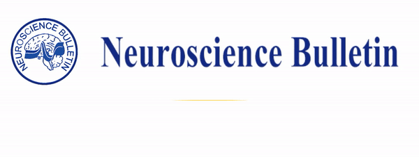 Neurosci Bull最新封面文章：KIF17参与癫痫发作的分子机制__财经头条