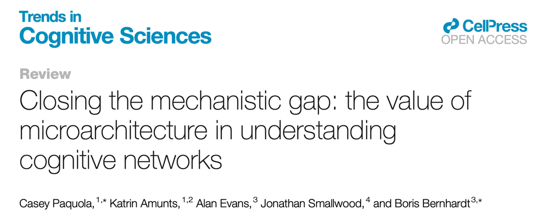Trends in Cogn Sci综述：微架构在理解认知网络中的重要价值__财经头条