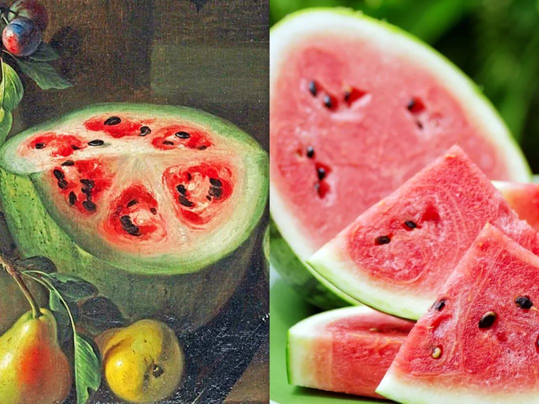 食物是如何被驯化的呢？|玉米|香蕉|西瓜_新浪新闻