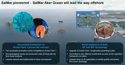 Smart Fish Farm项目获挪威政府批准，深海渔场将坐落在挪威领海之外|挪威_新浪新闻