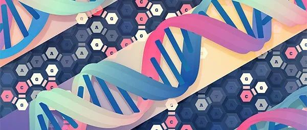 当我们把DNA比作语言时，真的如此吗？|生物学与医学|基因|埃尔温·薛定谔|基因组|遗传_新浪新闻