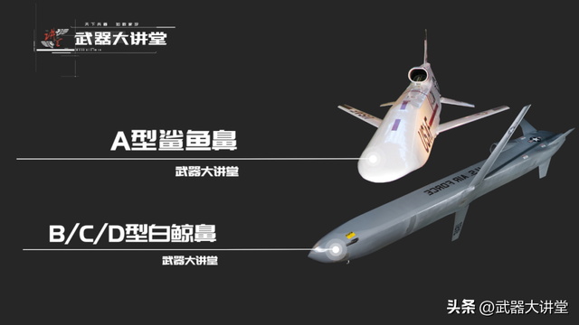 可携带核弹头奔赴2400KM，命中精度高达2.5米，AGM-86巡航导弹
