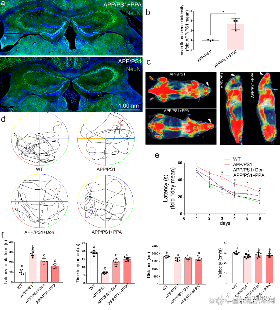 Biomaterials：新纳米材料通过激活线粒体自噬治疗阿尔兹海默症__财经头条