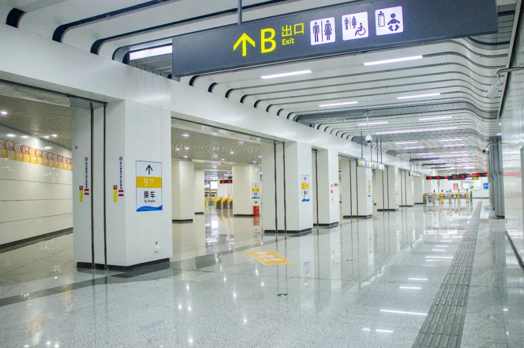 实拍全城静默第①天，万万没想到的是……|成都市|新冠肺炎_新浪新闻