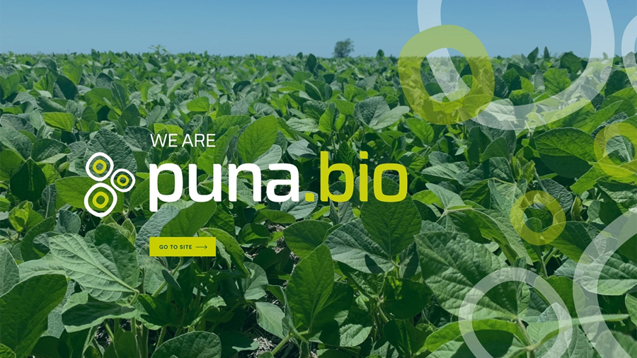 合成生物公司Puna Bio获370万美元种子轮融资，将利用微生物提高粮食产量__财经头条