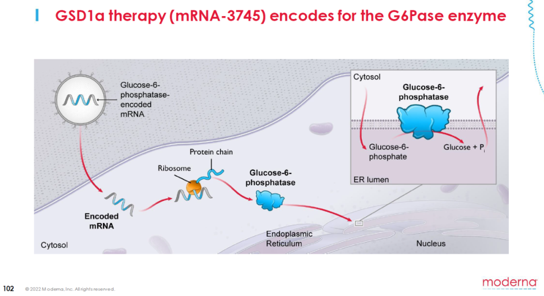 解锁mRNA新应用？Moderna展示研发蓝图（附PPT）|疫苗|疾病_新浪新闻
