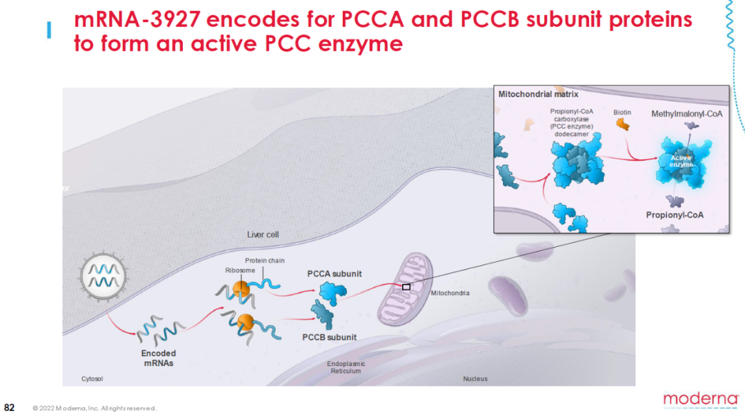 解锁mRNA新应用？Moderna展示研发蓝图（附PPT）|疫苗|疾病_新浪新闻