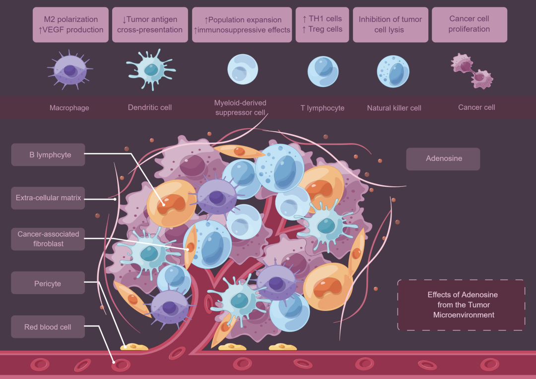 科研绘图自由！国内首个开放式在线绘图平台Figdraw突破10万用户！《奖学金激励计划》发布：最高5000元！__财经头条