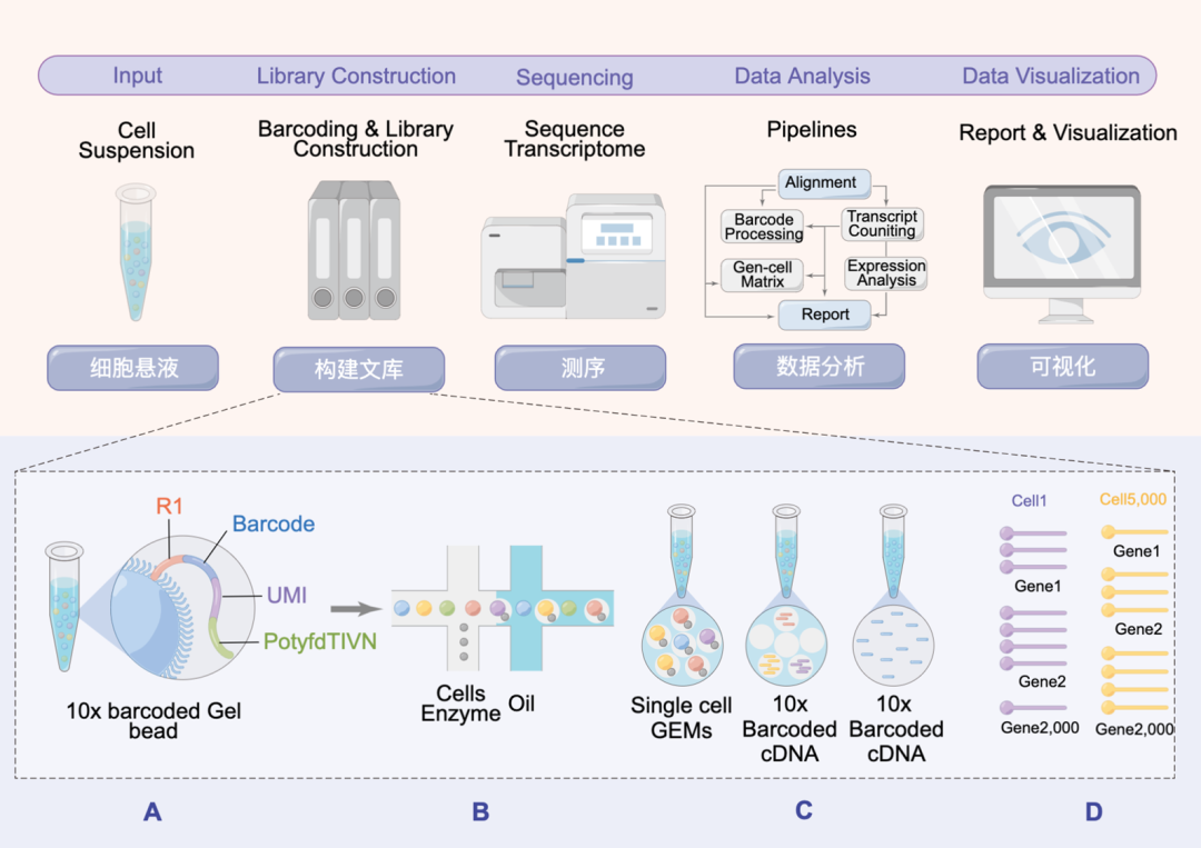 科研绘图自由！国内首个开放式在线绘图平台Figdraw突破10万用户！《奖学金激励计划》发布：最高5000元！__财经头条