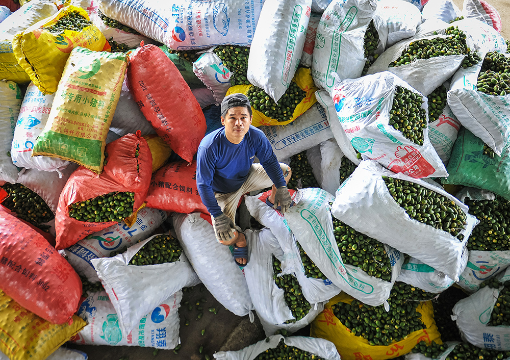 【图集】我国槟榔消费者超1亿：镜头下，作为一门生意的槟榔__财经头条