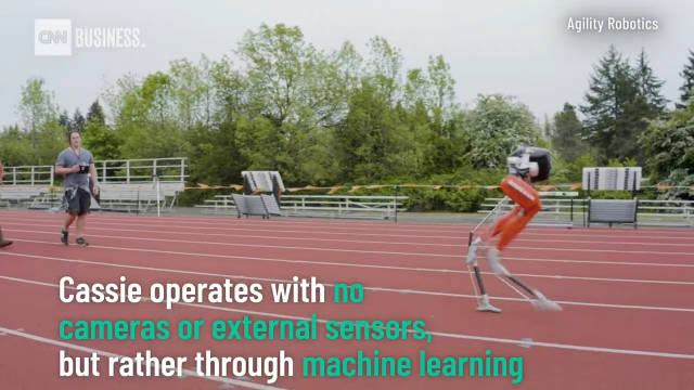 这都可以？由 Agility Robotics 制造的机器人 Cassie ……|机器人_新浪新闻