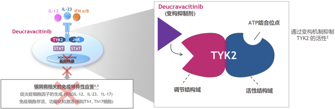 银屑病治疗辟新路！揭秘全球首个TYK2变构抑制剂的诞生始末丨奇点深度__财经头条