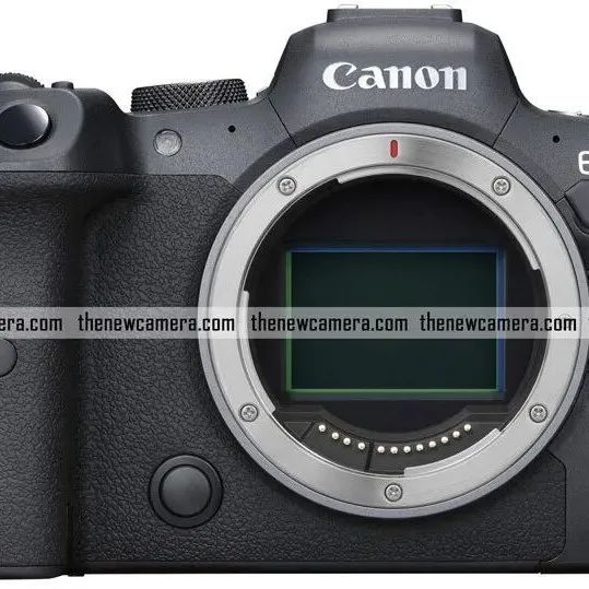 佳能EOS R Mark II参数信息曝光|佳能eos r|尼康|原型机_新浪新闻