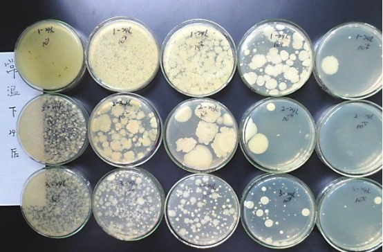 马上给爸妈看！这些东西家里绝对不能留！__财经头条