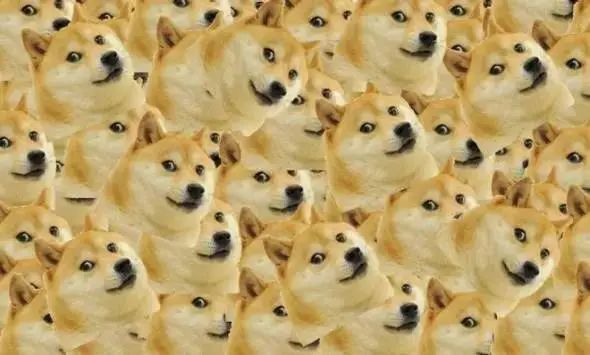 光知道用【Doge】表情，你知道Doge是什么狗么？__财经头条