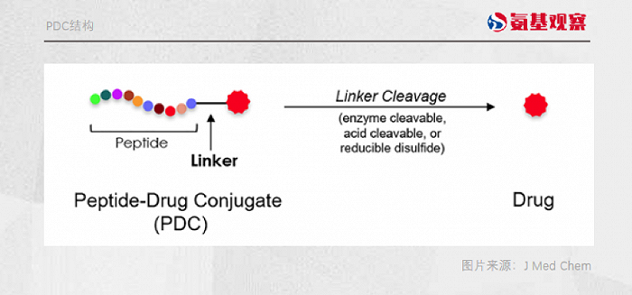 PDC药物先驱退市成定局，FDA给“万物皆可联”泼冷水|FDA|肿瘤|多肽_新浪新闻