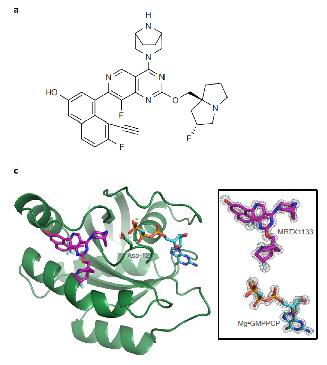 靶向又一不可成药KRAS突变体，Mirati靶向抗癌疗法登上《自然》子刊|肿瘤|基因突变_新浪新闻
