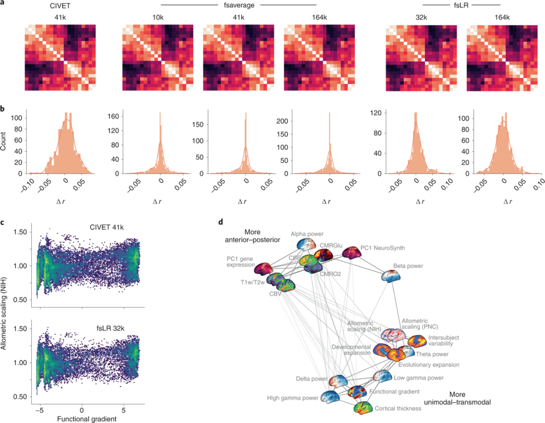 Nat Methods最新发布：多模态、多尺度脑科学数据综合分析的利器——neuromaps__财经头条