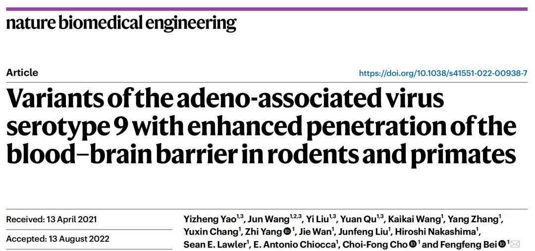 Nat Biomed Eng：新型AAV变体可跨血脑屏障，有望进行基因治疗__财经头条
