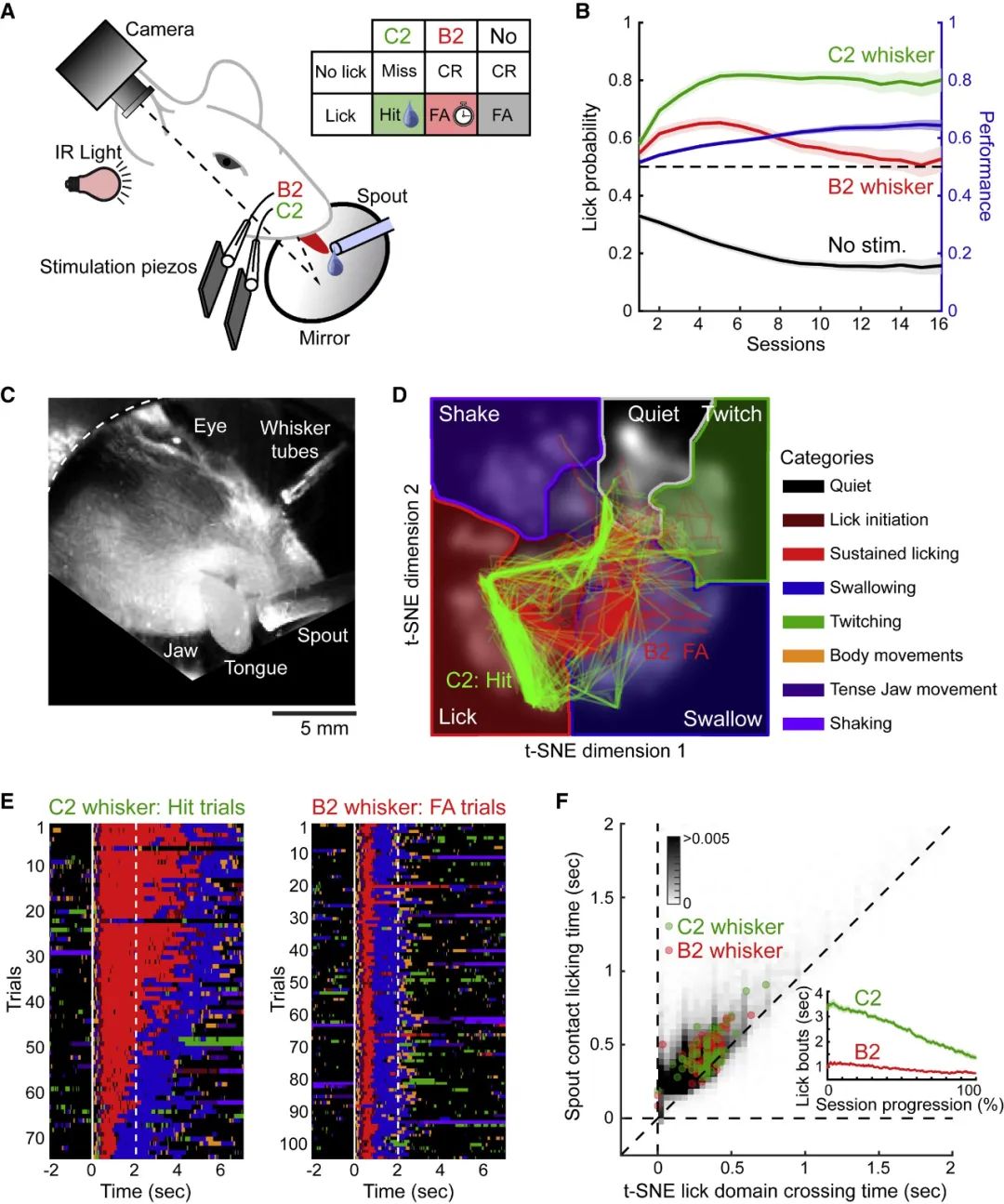 Neuron：为什么越想做好，却往往越做不好？__财经头条