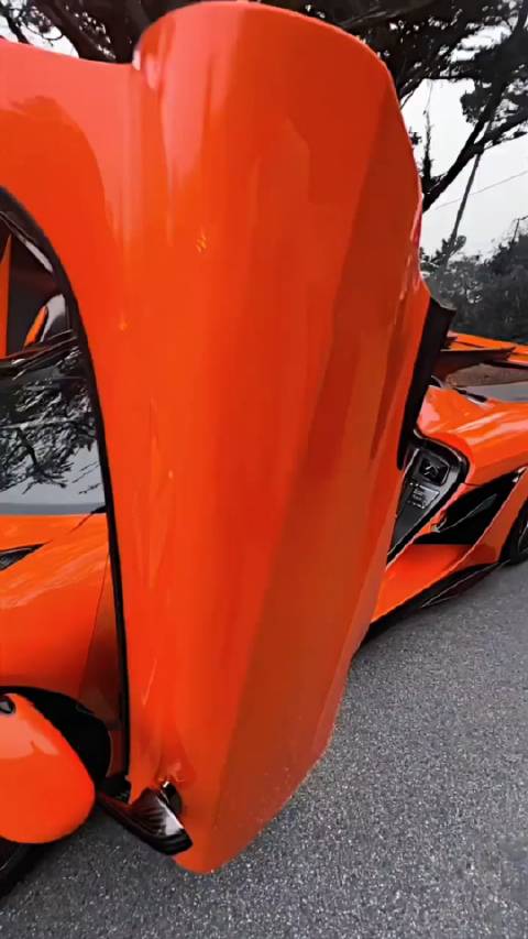 柯尼塞格旋翼门开启的仪式感|汽车资讯|汽车视频|超跑_新浪新闻