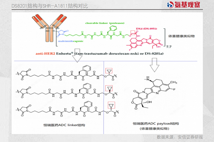 死磕PD-L1/TGFβ双抗，恒瑞医药不想为默克的失败买单|德国_新浪新闻