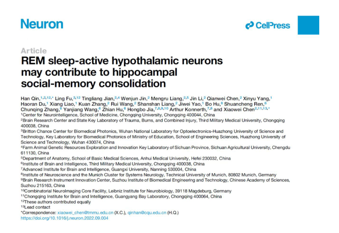 Neuron：睡梦中记忆？谌小维/覃涵等合作发现睡眠中巩固社交记忆的新神经环路机制|记忆|睡眠期|通路_新浪新闻