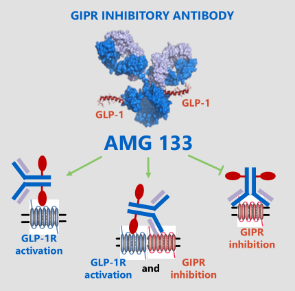 每月一针，12周实现减重15%，堪称「史上最强减肥药」！|减肥药|减重_新浪新闻