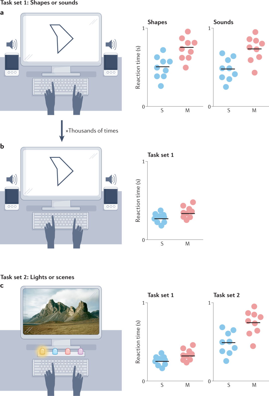 Nat Rev Neurosci：如何一心二用？一起了解大脑多任务处理背后的神经生理机制__财经头条