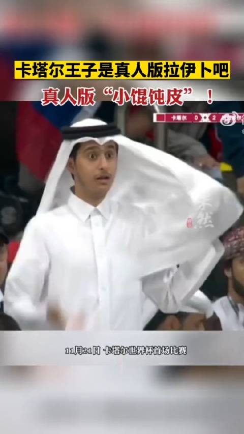 卡塔尔王子是真人版拉伊卜吧……|王子_新浪新闻